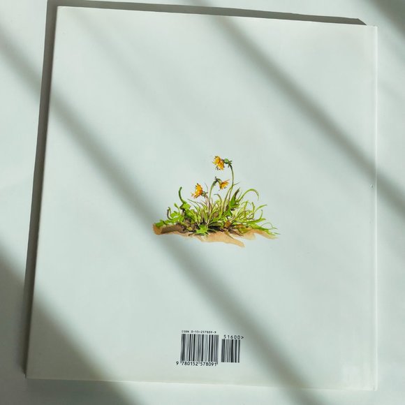 Children's Books | Other | The Old Woman Who Named Things Hardcover ...